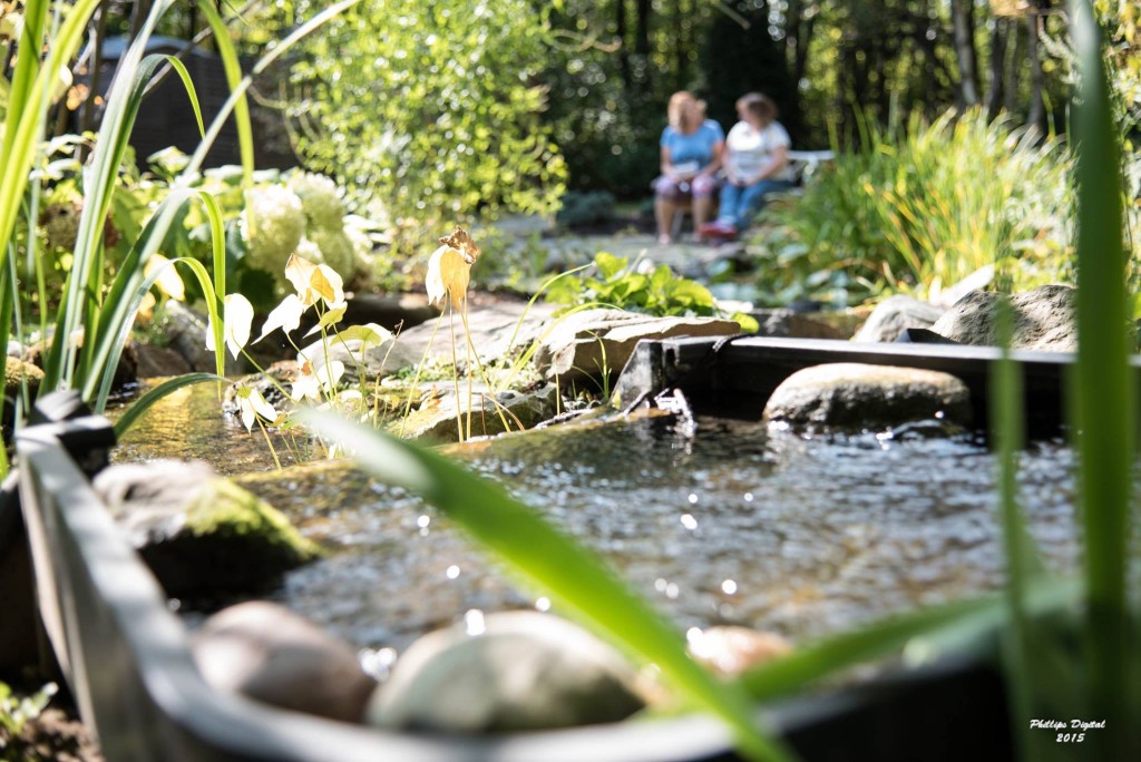 One-on-One Behavioral Coaching - The WAY to Healthy Living